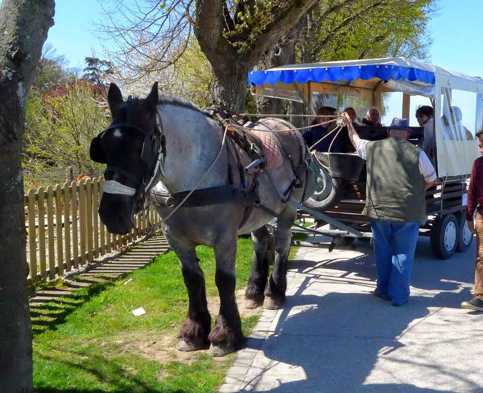 Bâche de protection pour calèche - Bâches 80